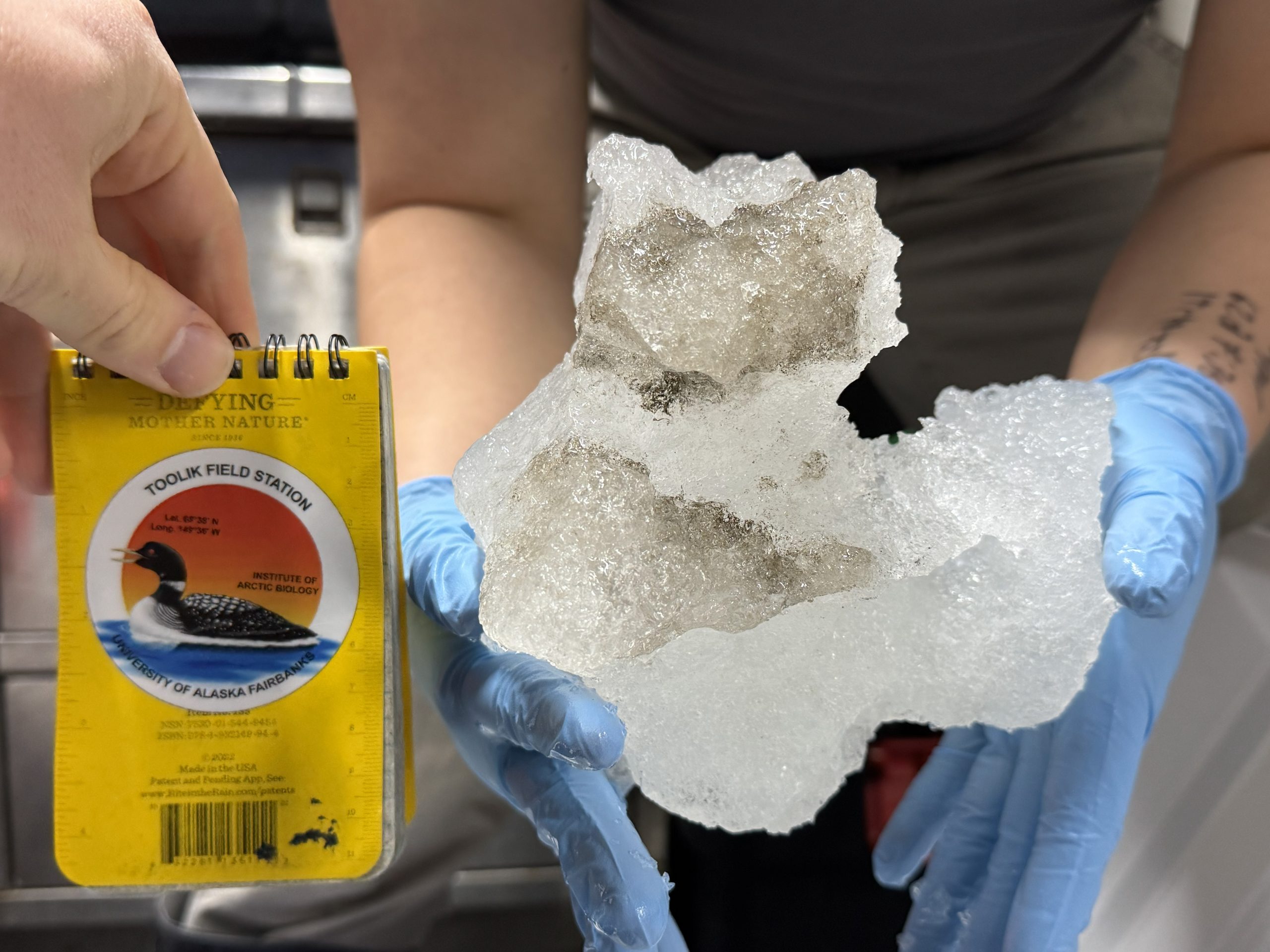 Molecular clues in a frozen ocean: How eDNA illuminates Arctic change