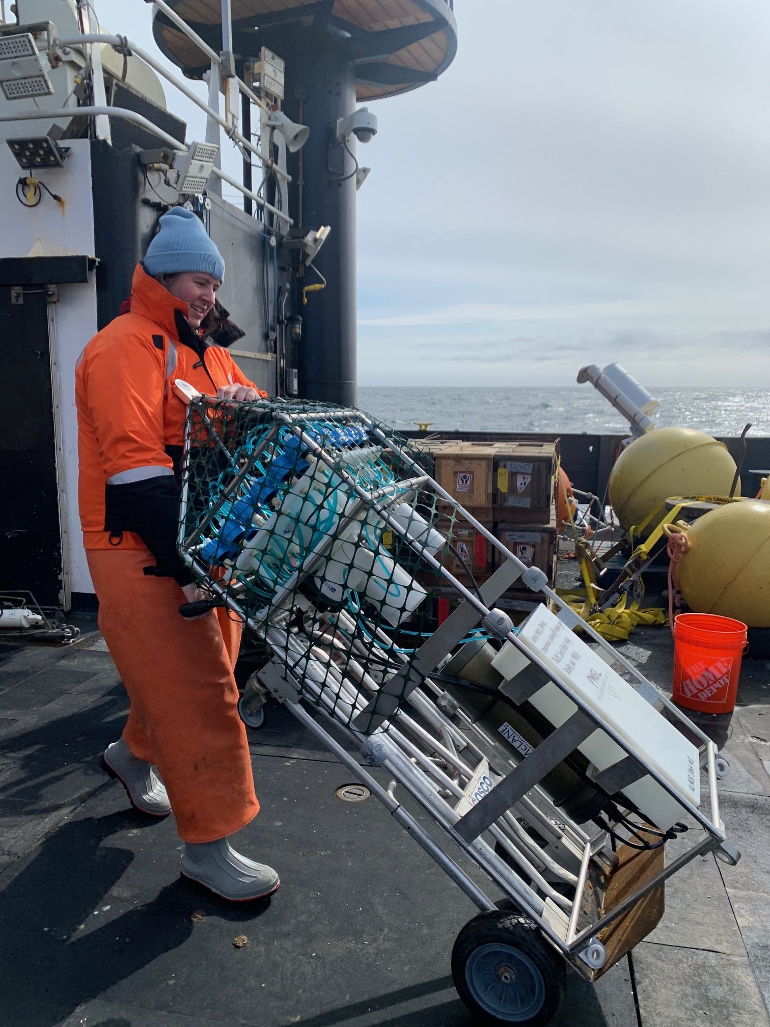 Molecular clues in a frozen ocean: How eDNA illuminates Arctic change